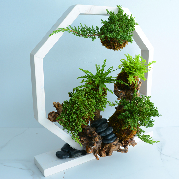 Plants octogone - Charlotte Lefebvre